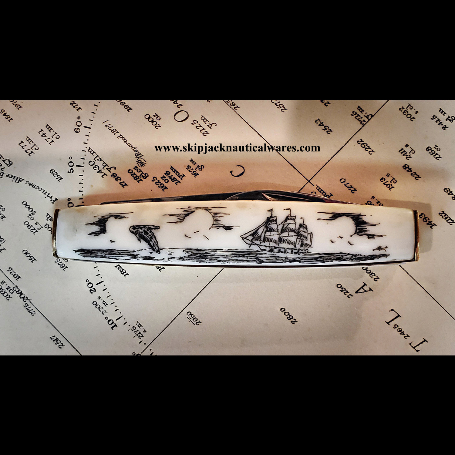 Whaling Ship and Breaching Whale Scrimshaw Pen Knife: Skipjack Nautical ...