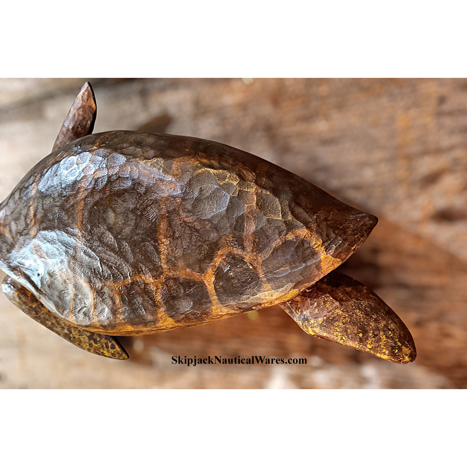 loggerhead sea turtle shell